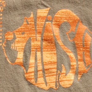 Phish Classic Wood Logo T-shirt - The Silent P